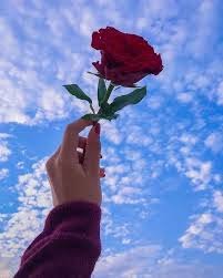 ANOVA and Multiple Mean Comparison in R - Codanics